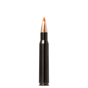 NORMA, 30-06, TIPSTRIKE SILENCER 11G/170GR (20szt.)